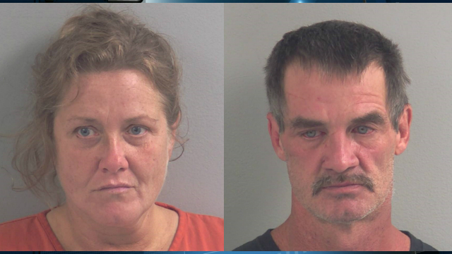 Sheila Priest's Instagram, Twitter & Facebook on IDCrawl