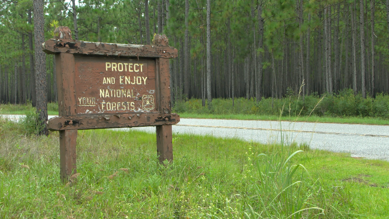 Francis Marion Plantation