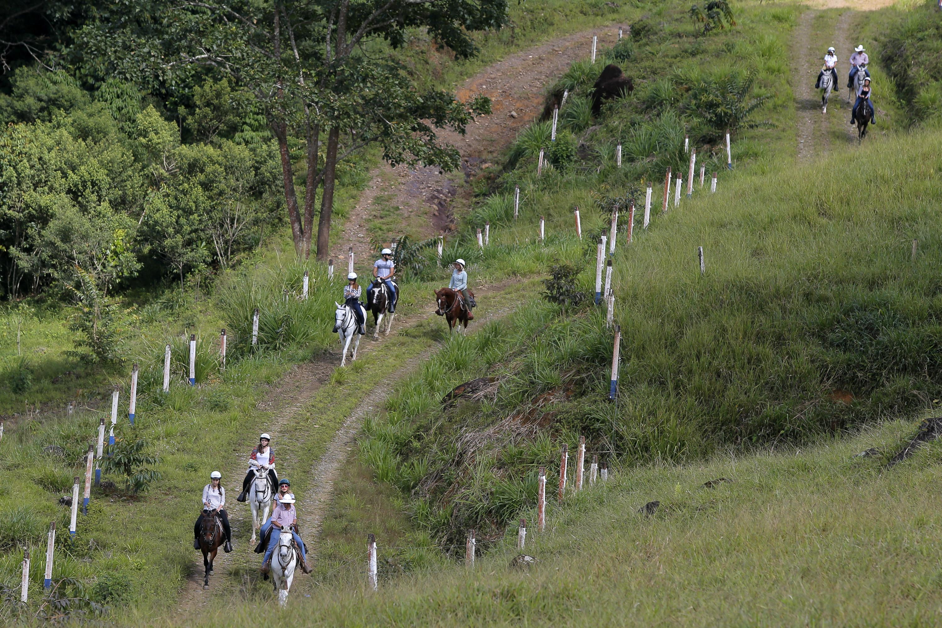 Región Brunca cumple seis años con tendencia a la baja en la pobreza ...