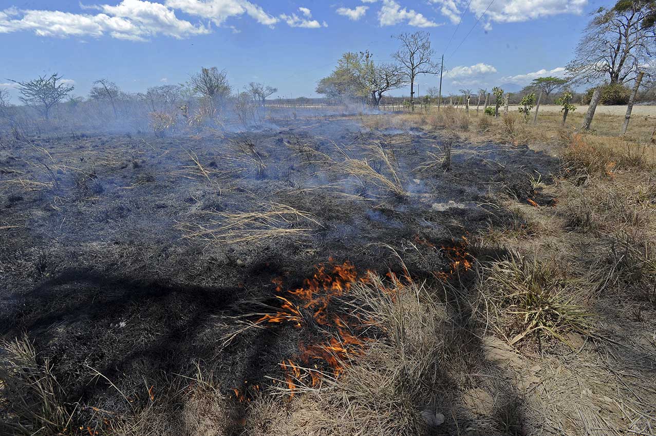 Dígalo aquí: ¿Por qué una quema no se puede evitar? | La Teja