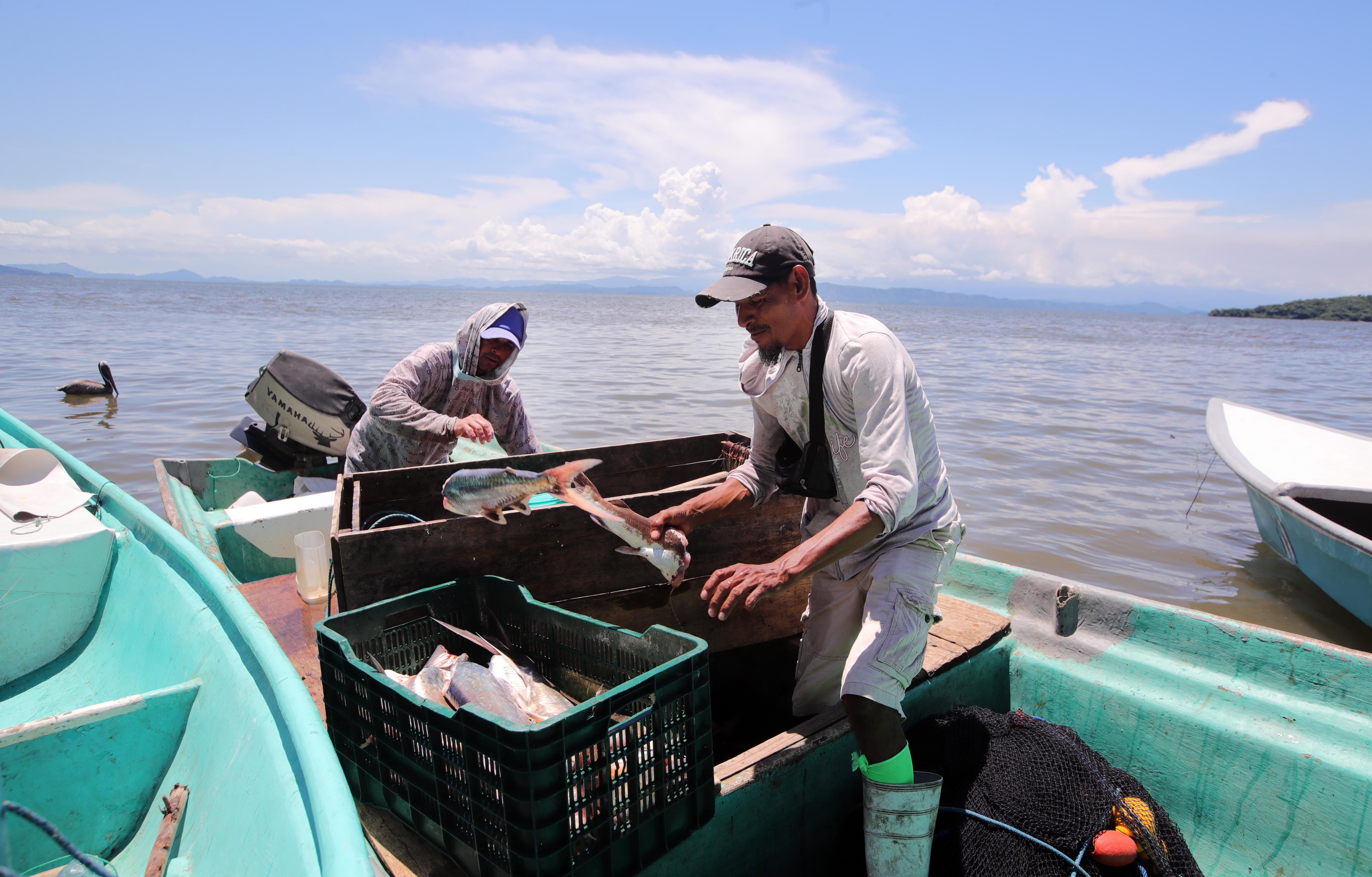 Productos pesqueros costarricenses tendrán un sello de calidad ‘Pura ...