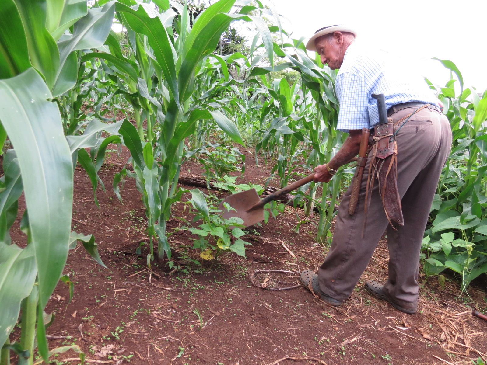 Tatarabuelo, lección para los ninis | La Teja