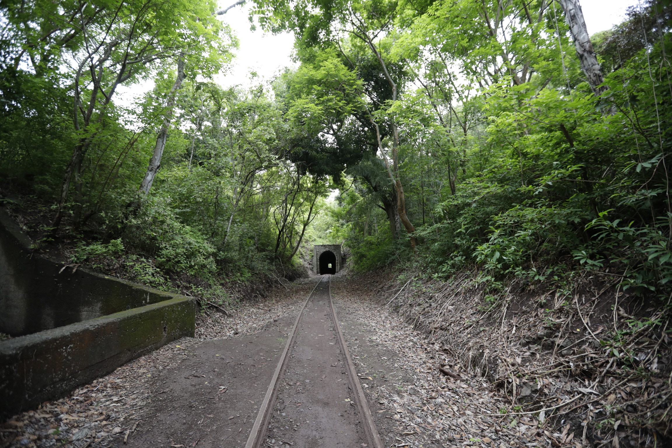 Incofer planea revivir tren de carga a Puntarenas | La Nación