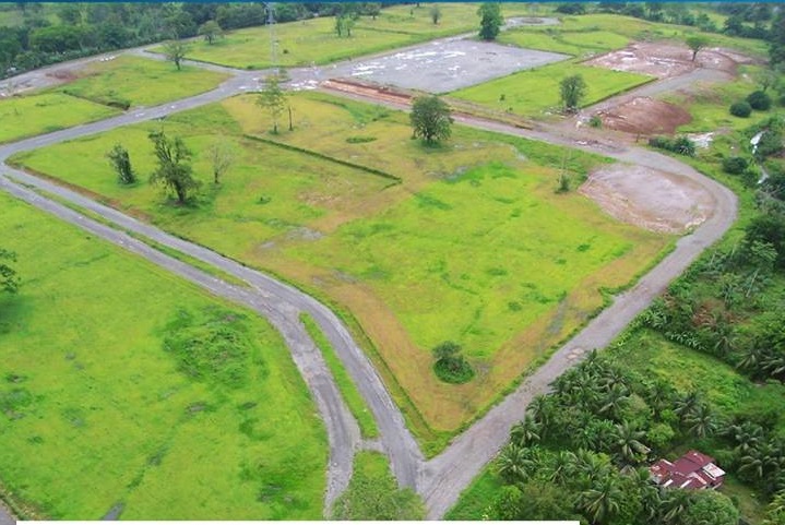 Esperanza para limonenses a paso de tortuga | La Teja