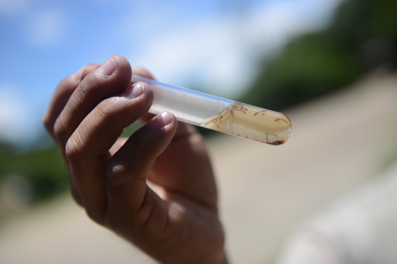 Ministerio de Salud confirma casos de zika en 17 cantones de Costa Rica ...