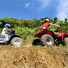 Diversión sobre ruedas | La Nación