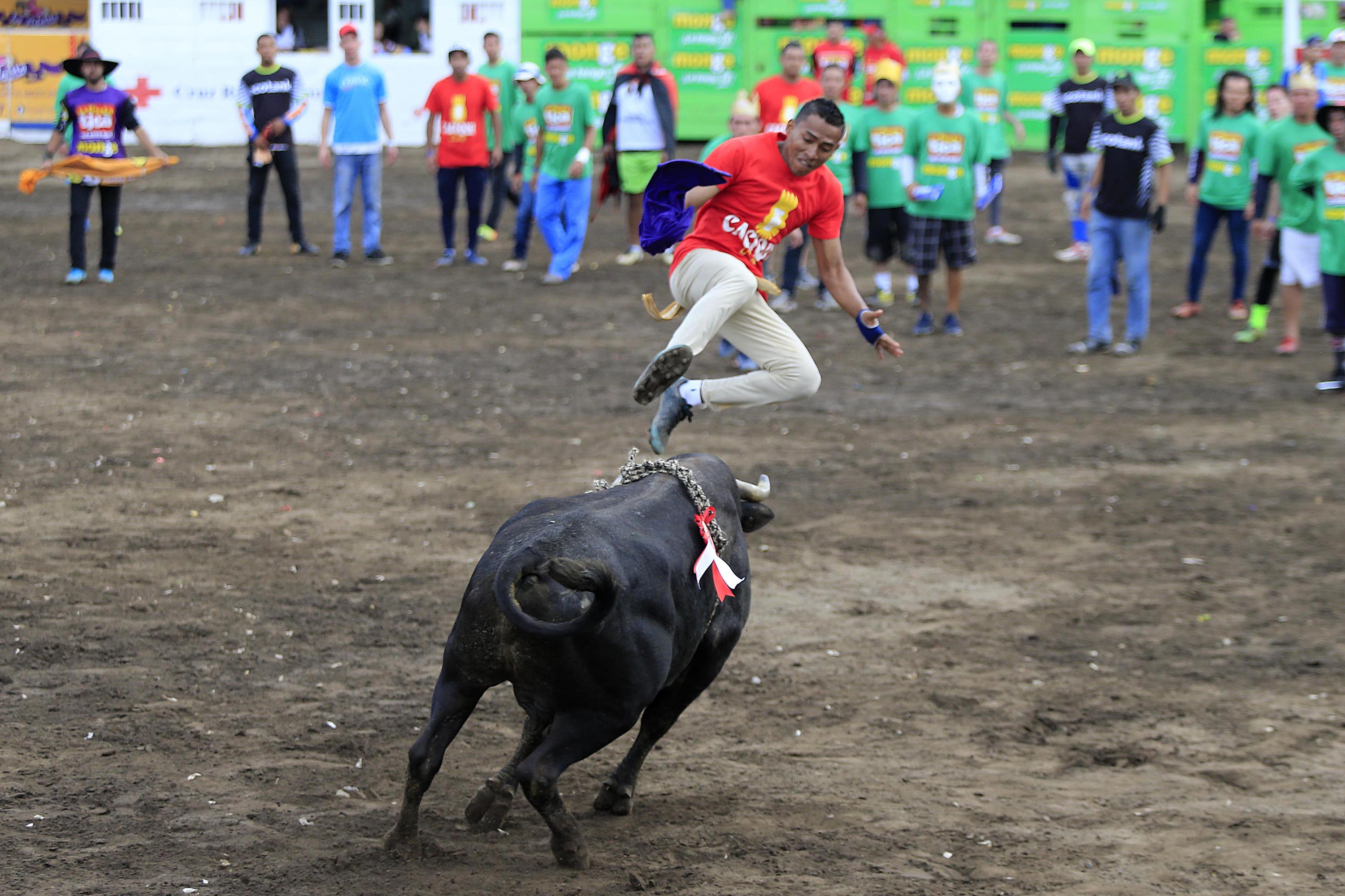 Costa Rica's Bullfighting 'a la Tica': Unique Tradition