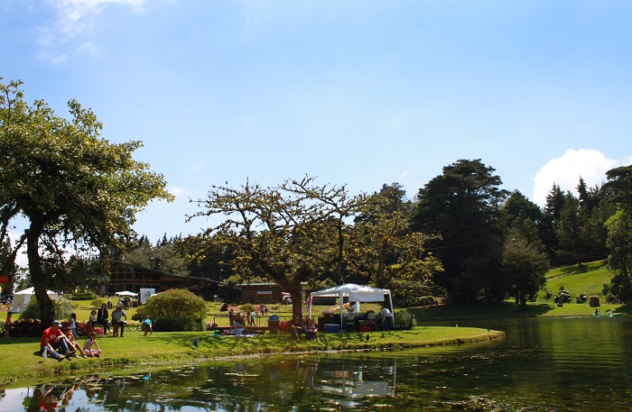 Colinas del Poás se reinventa para sobrevivir a cierre de parque por ...