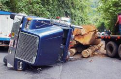 Mucha carga | La Nación