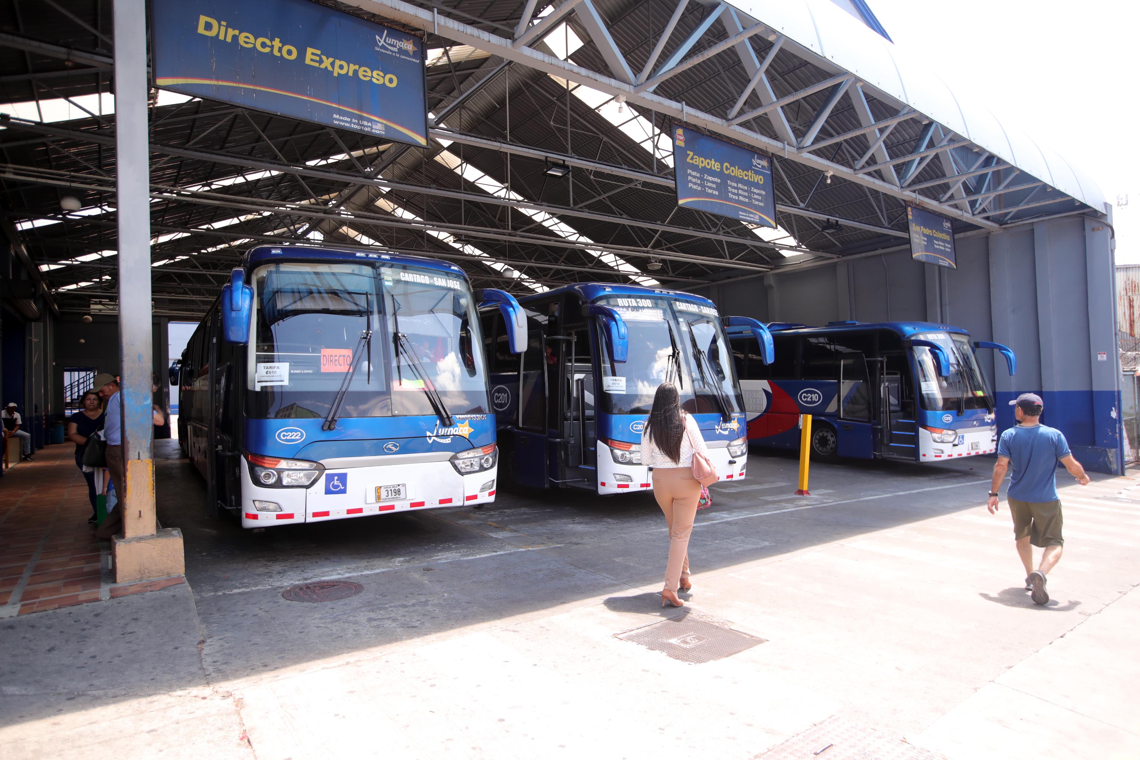 Lumaca trabajará la romería con más de 200 buses | La Teja
