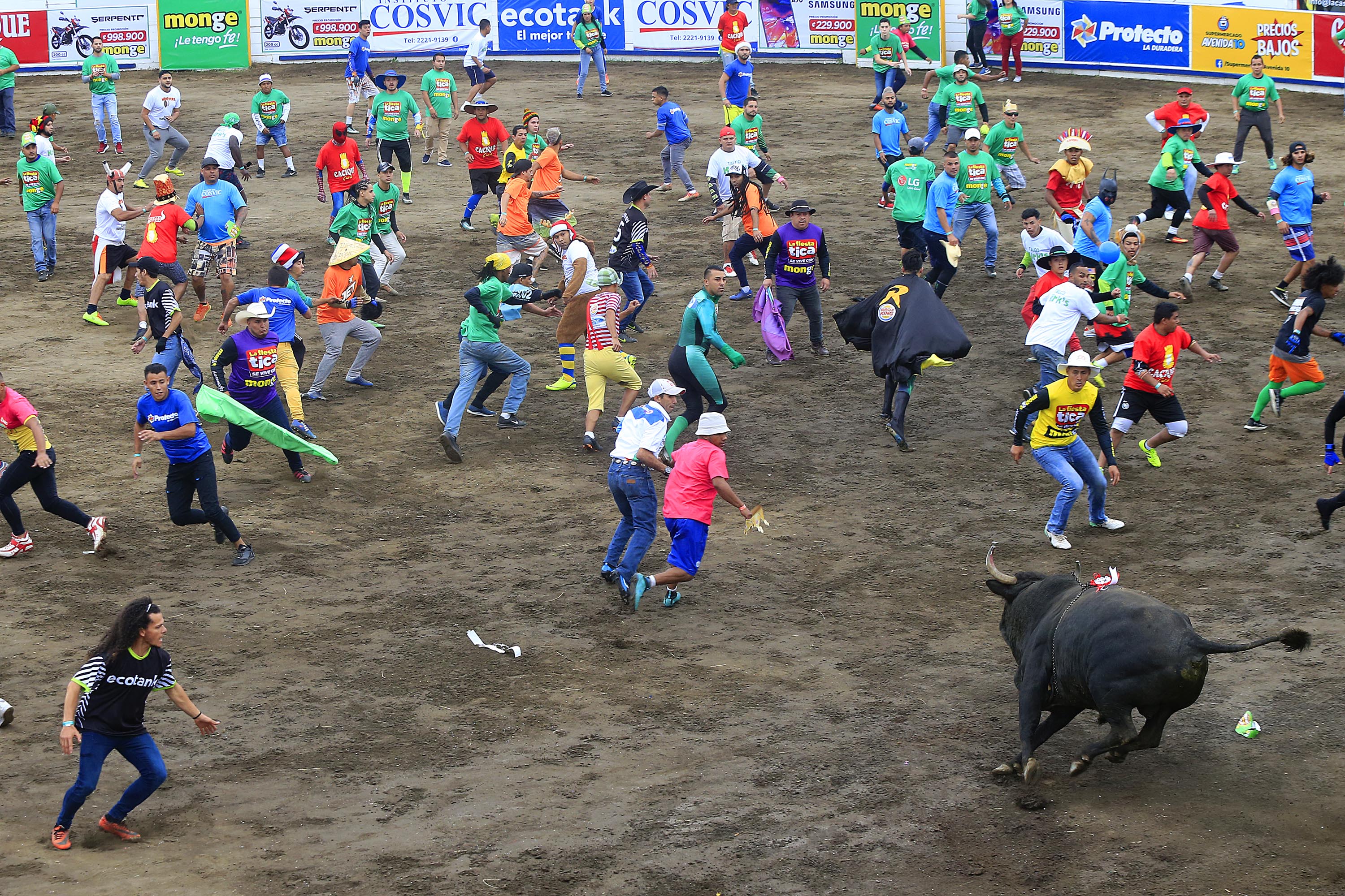 ¿Cuánto costarán las entradas para ver las corridas de toros desde ...