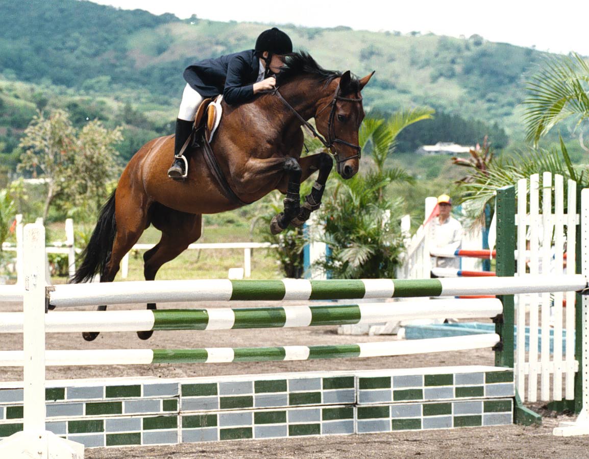 Conozca cómo es el segmento más adinerado del país y siga cinco claves ...