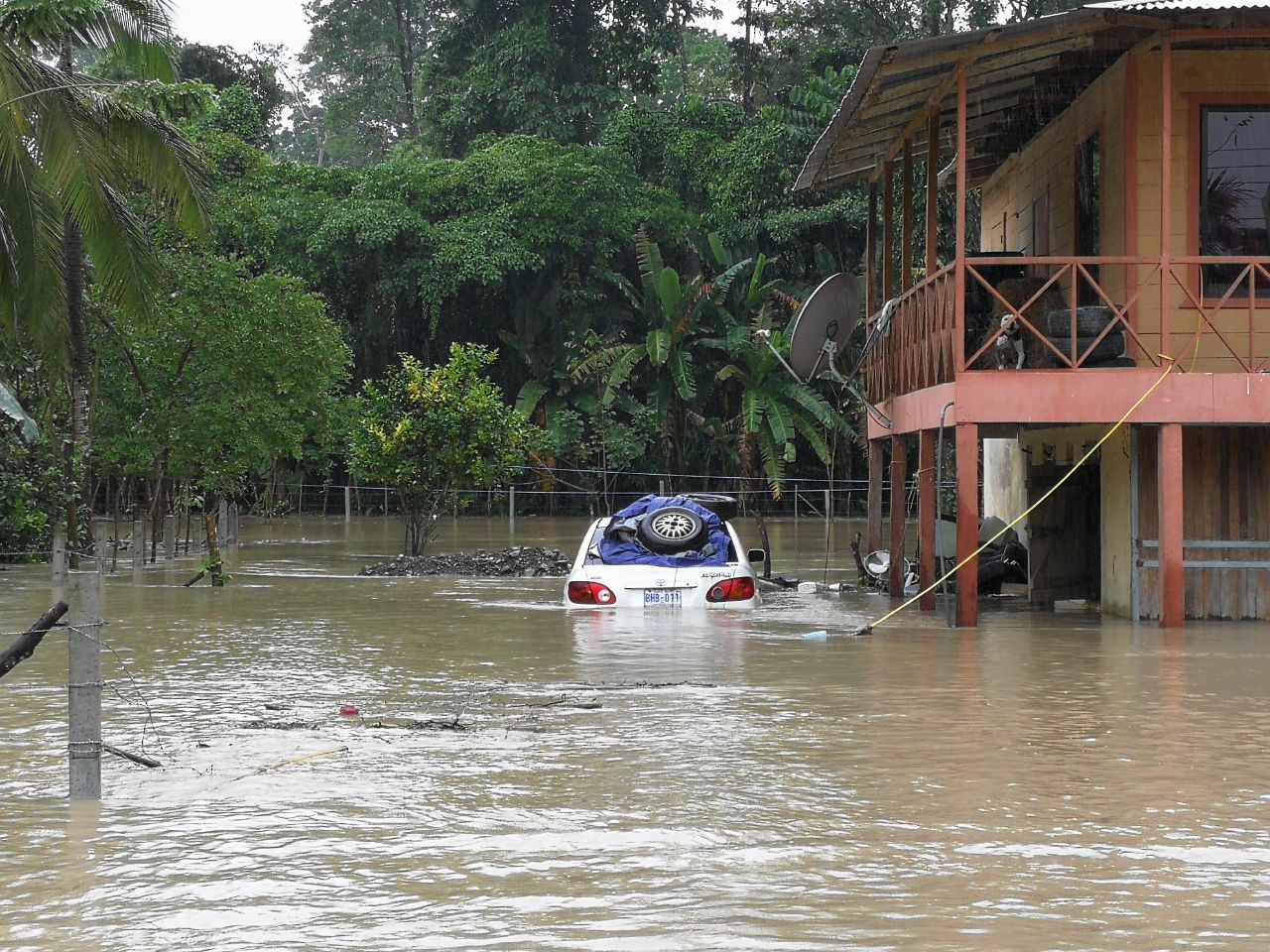 Videos y fotos: Limonenses se tiran al agua para comprar comida | La Teja