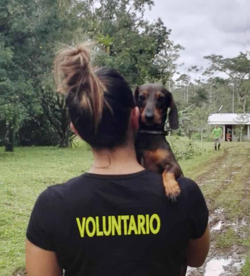 Rescatar un animal implica compromiso y responsabilidad | La Nación