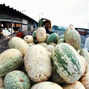 Chiverre y enlatados | La Nación