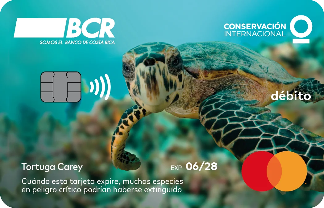 “Carey”: la nueva tarjeta de débito con la que Mastercard y Banco de ...
