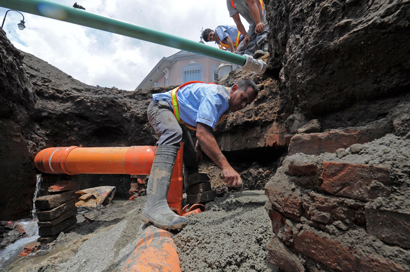 Cultivo y explotación de madera aporta 2% del Producto Interno Bruto de ...