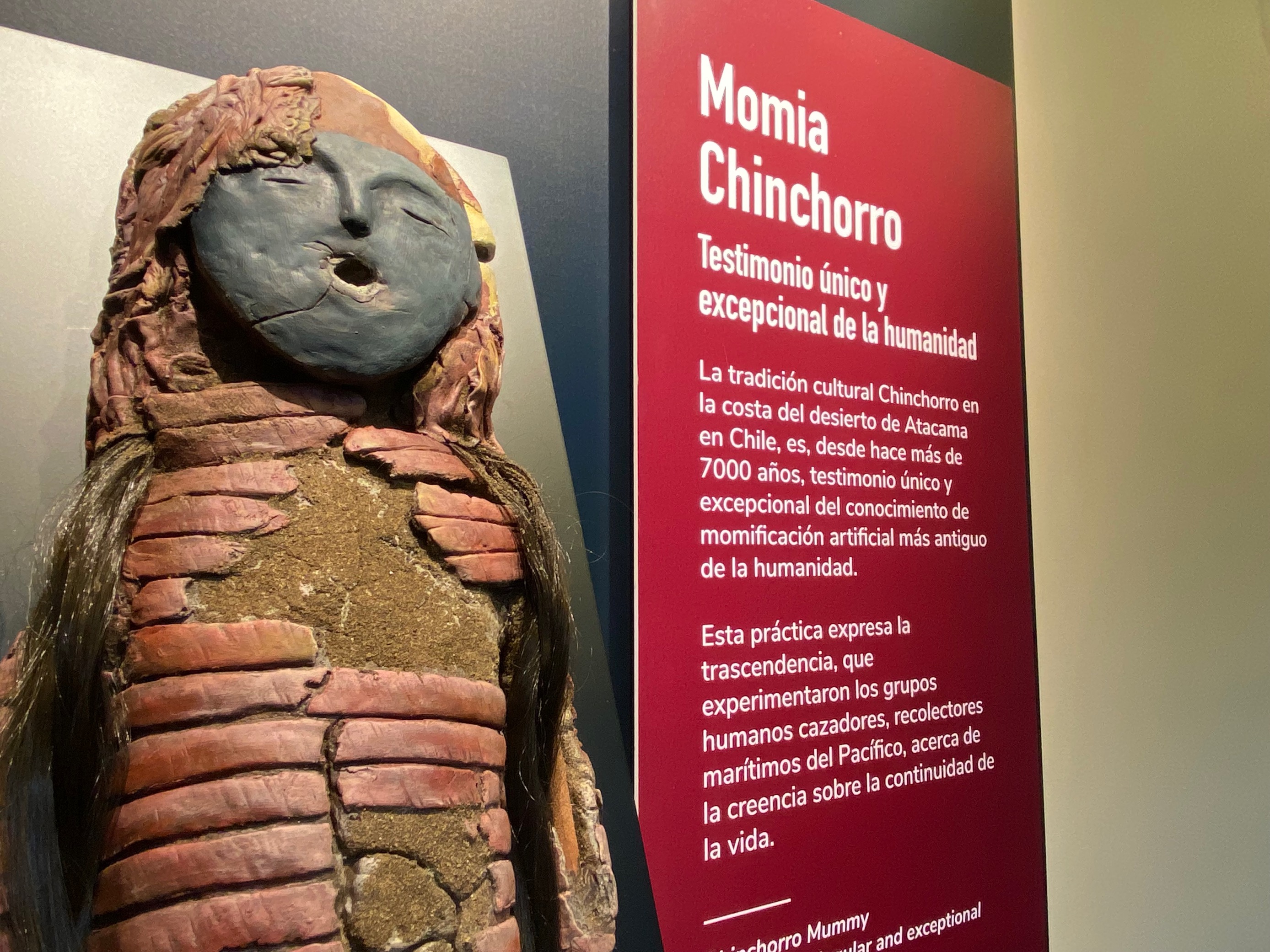 Museo del Jade exhibe réplica de momia hallada en Chile | La Nación