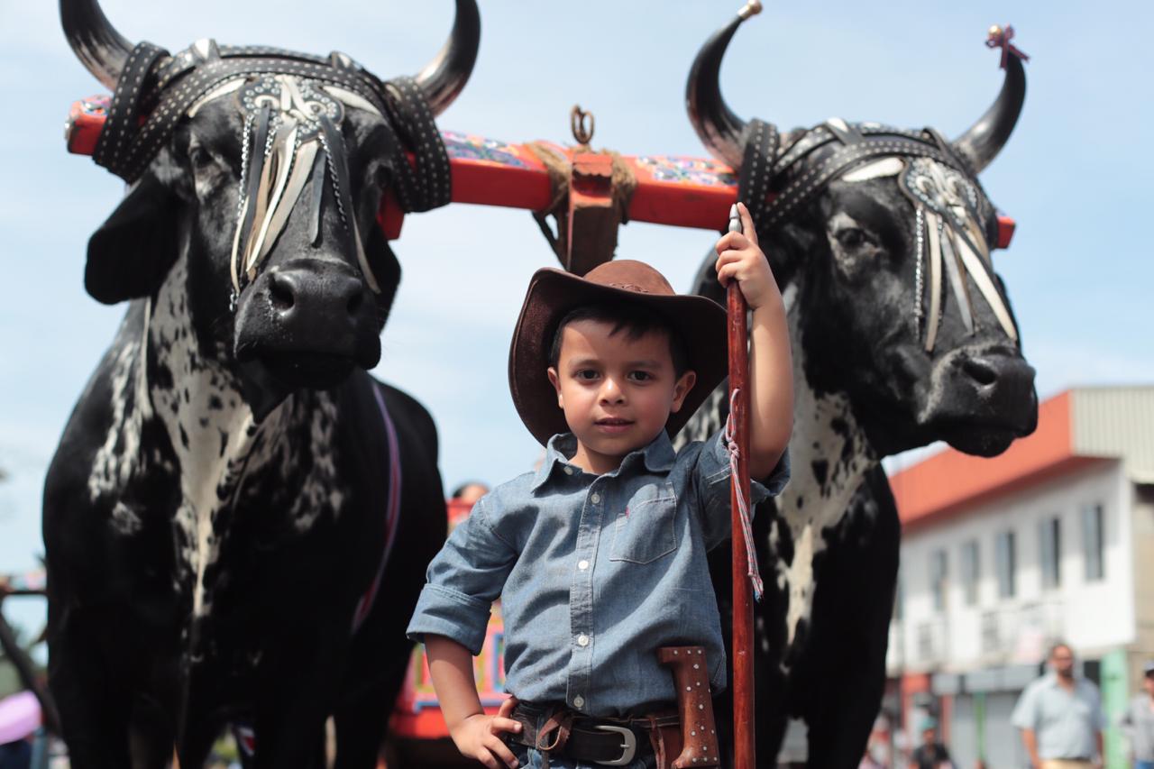 Niños renuevan la tradición del boyeo y desfilan orgullosos en San José ...