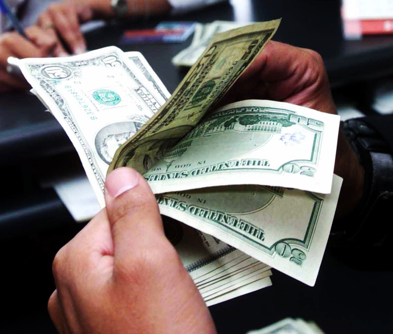 Banco Central retomó la compra de dólares en el mercado mayorista | La ...