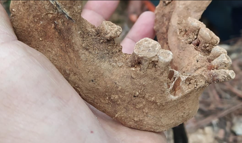 Descubrieron En Oaxaca Una Misteriosa Tumba De Más De 1000 Años Y Restos De Nobles Corpulentos
