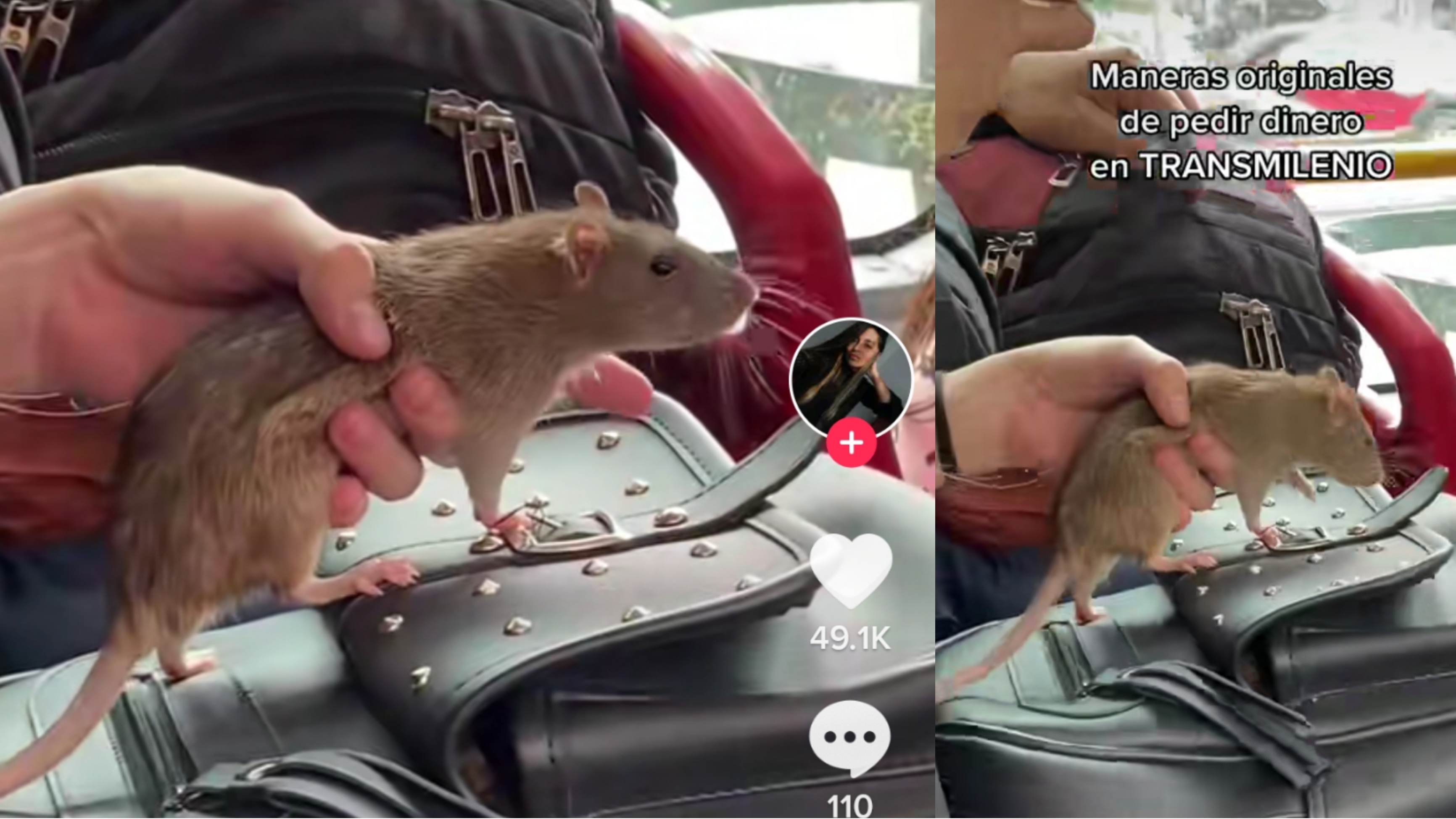 Nuevo Emprendimiento Un Hombre Cobra Por Dejar A Los Pasajeros
