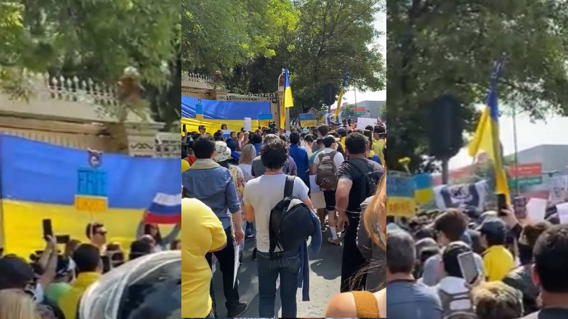Comunidad Ucraniana En Mexico Infobae