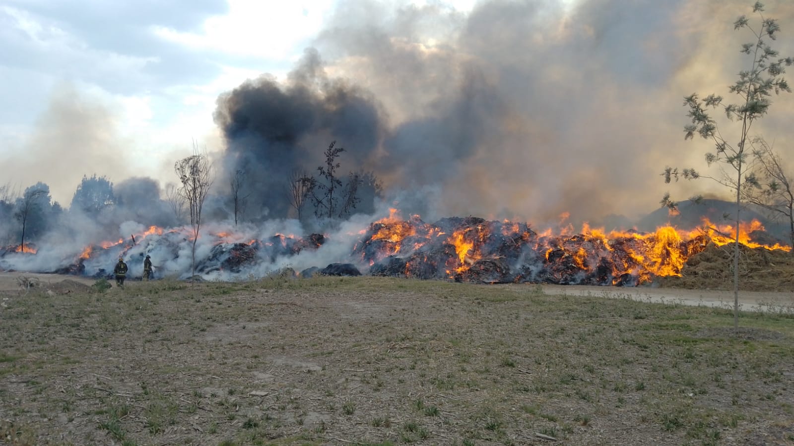 Reportaron Un Incendio En El Parque Cuitláhuac De Iztapalapa Infobae