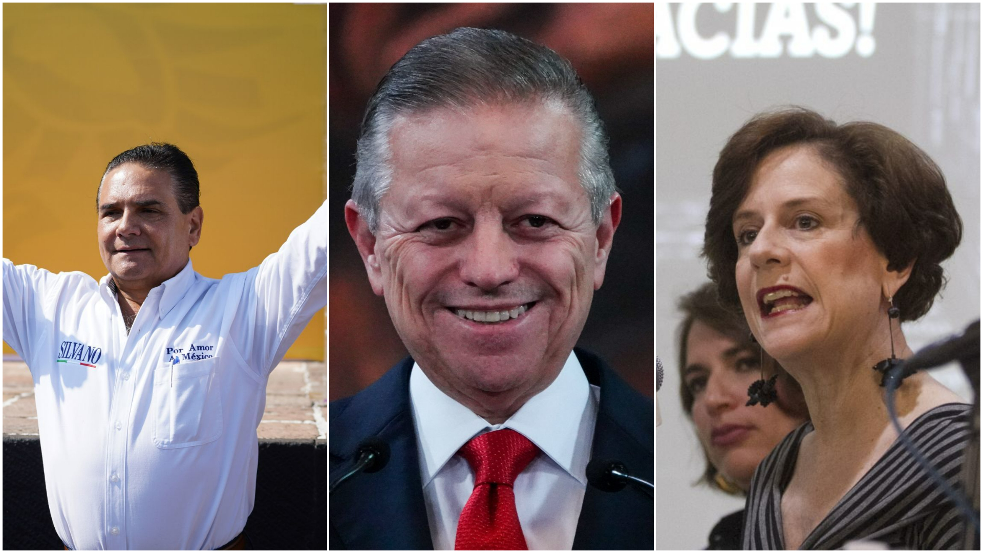Silvano Aureoles Denise Dresser Y Otros Reaccionaron Al Respaldo De