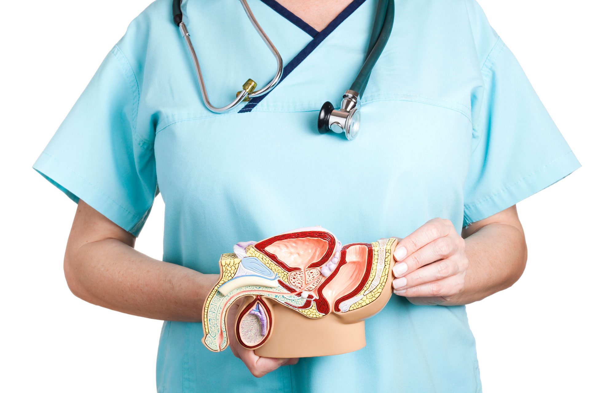 Cáncer De Testículo Cuáles Son Los Síntomas Y Por Qué Es Fundamental La Detección Precoz Infobae