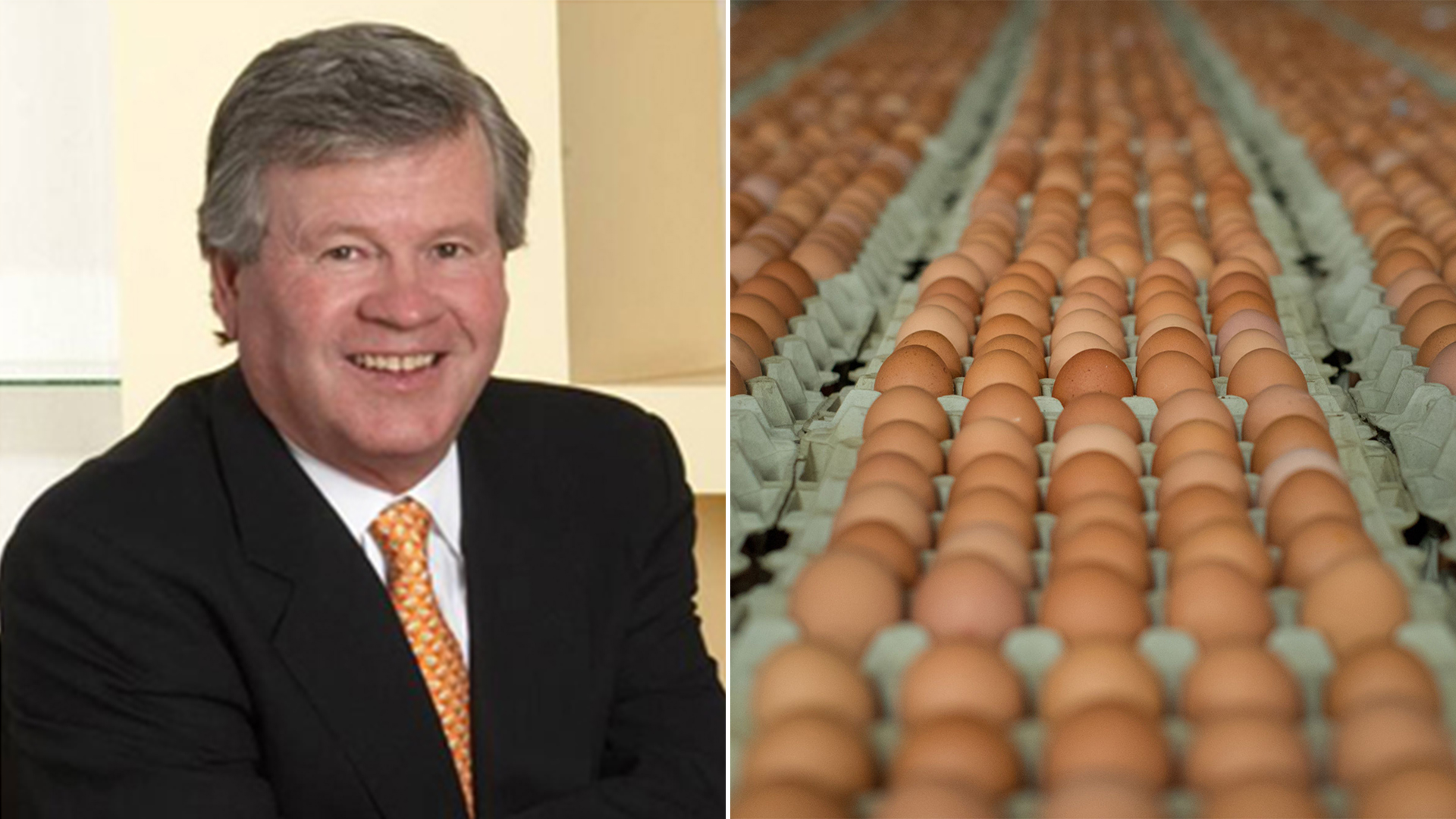 Conoce El árbol Genealógico De Los Robinson