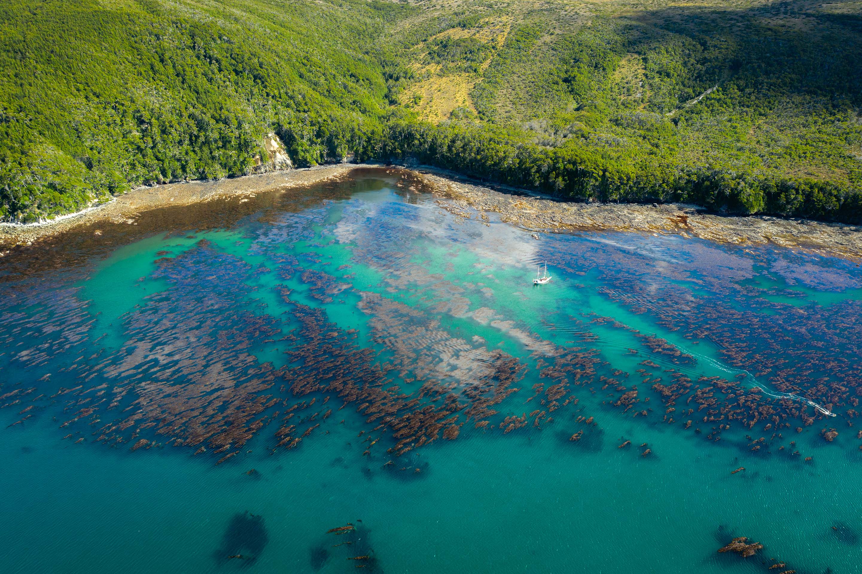 La Península Mitre Fue Declarada área Protegida En Tierra Del Fuego Luego De 30 Años De Reclamos