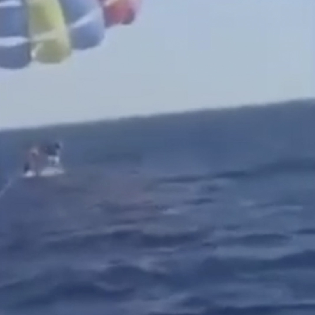 El Increíble Momento En Que Un Tiburón Salta Para Morder A Un Hombre En