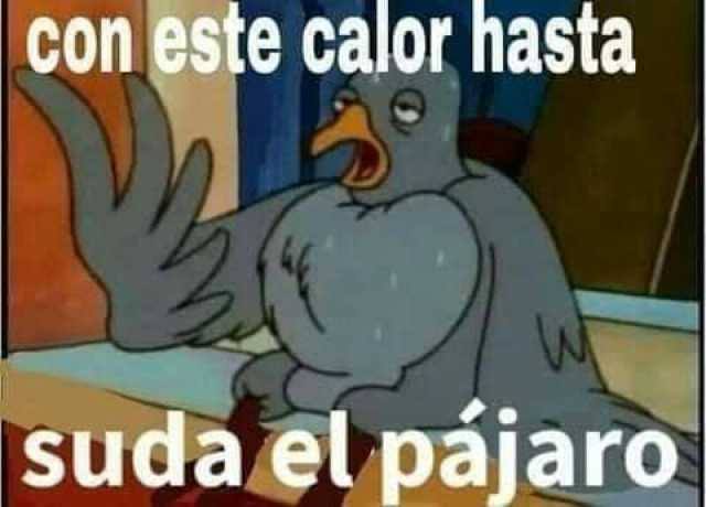 Memes De Calor