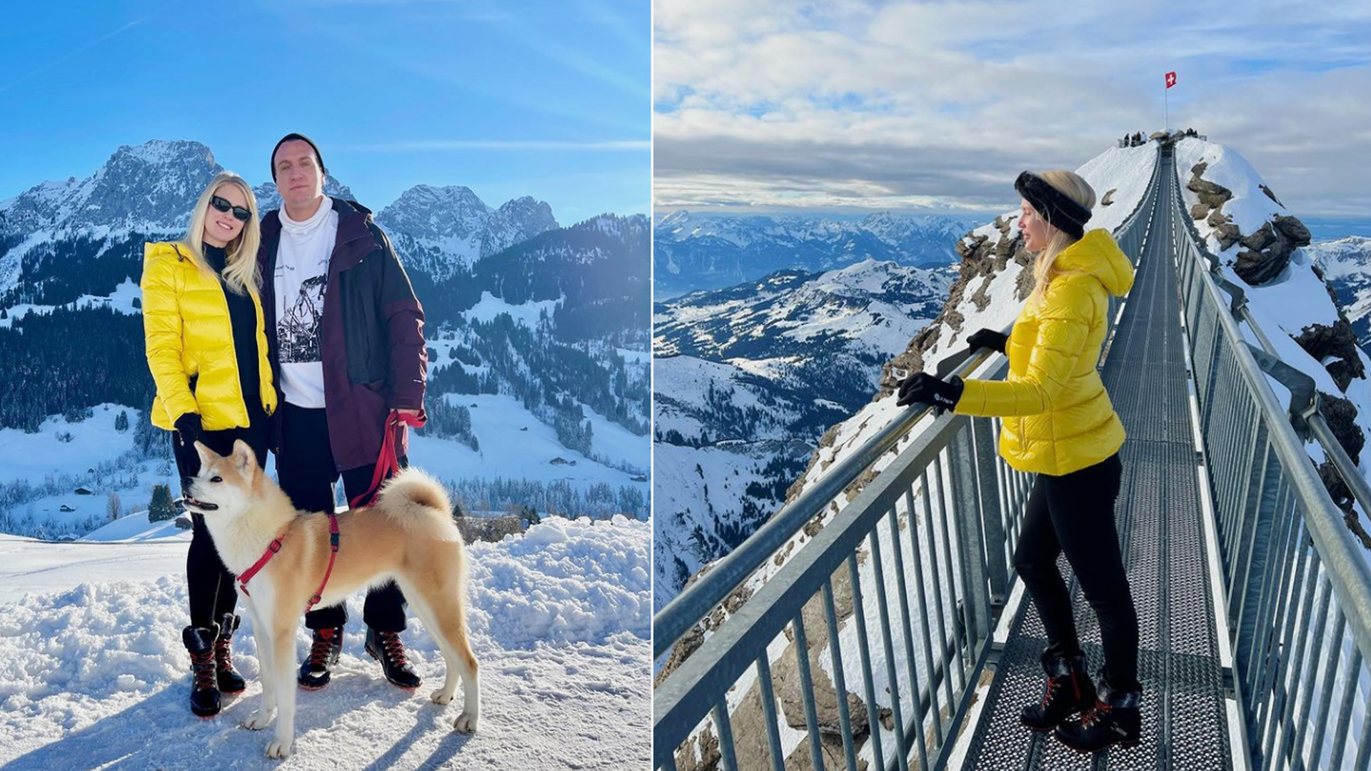 Alpes Suizos Infobae