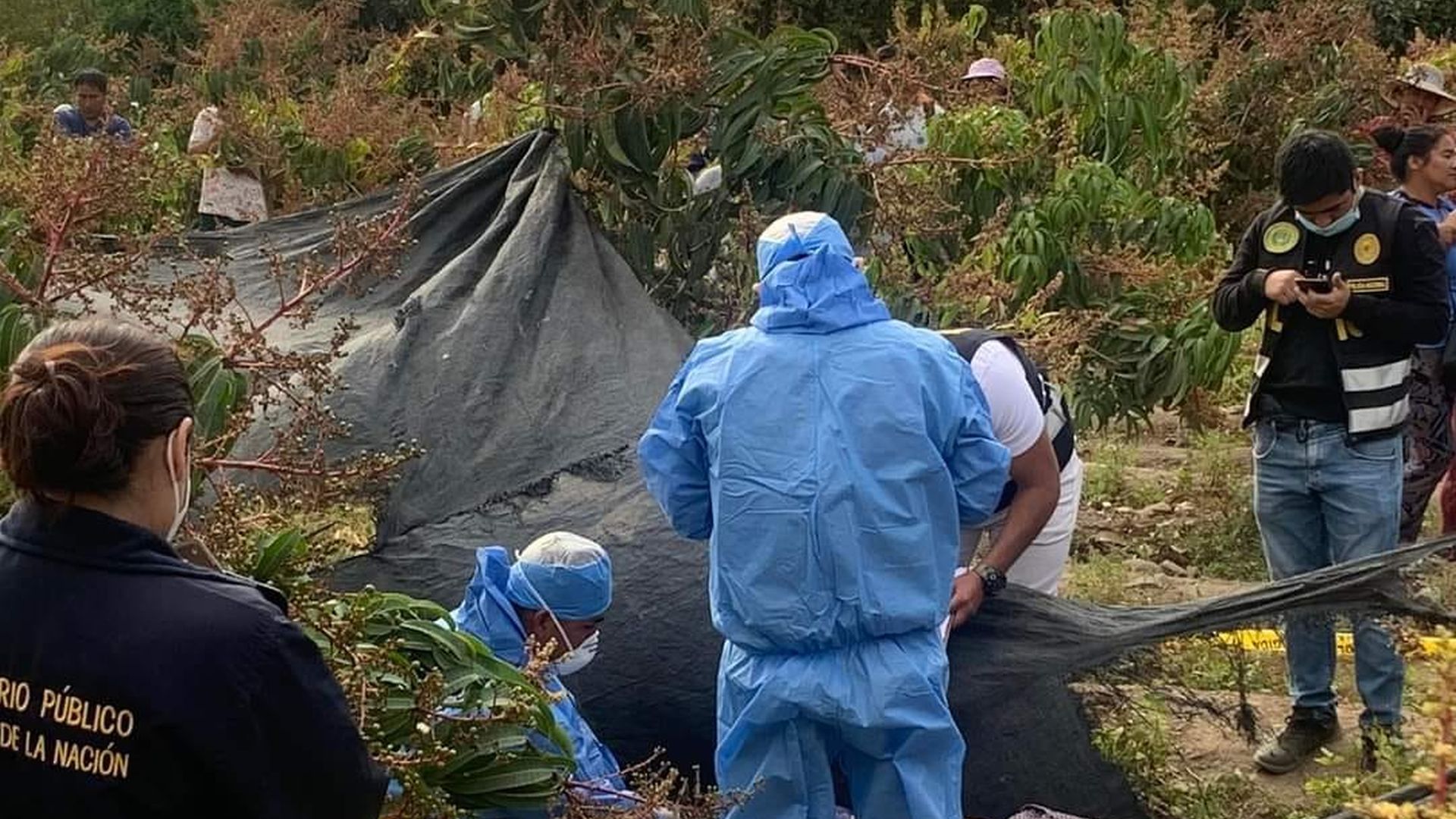 Áncash Hallan Muerta A Regidora De Huanchuy En Campo De Cultivo Y Detienen A Su Esposo Infobae