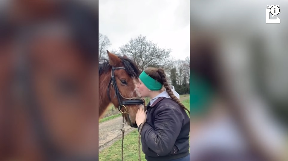 Desconecta Una Mujer Compra Un Caballo Por Una Libra Y Consigue