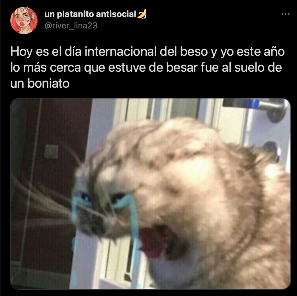 Del Día Del Beso Al Martes 13 Los Mejores Memes Infobae