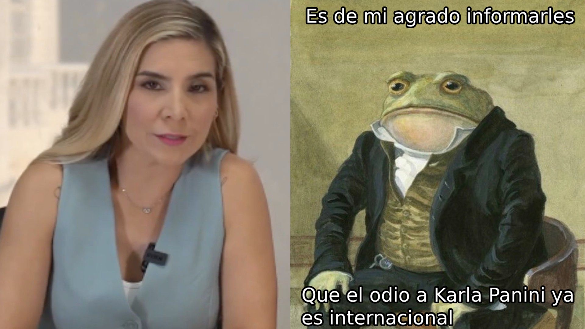 Memes Karla Panini Tiktoker Se Disfraza De Karla Panini En