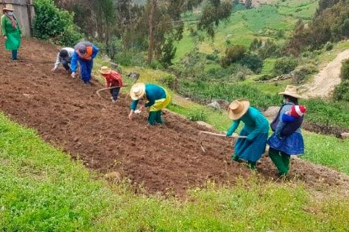 Perú últimas Noticias Del Sábado 22 De Octubre De 2022 Infobae