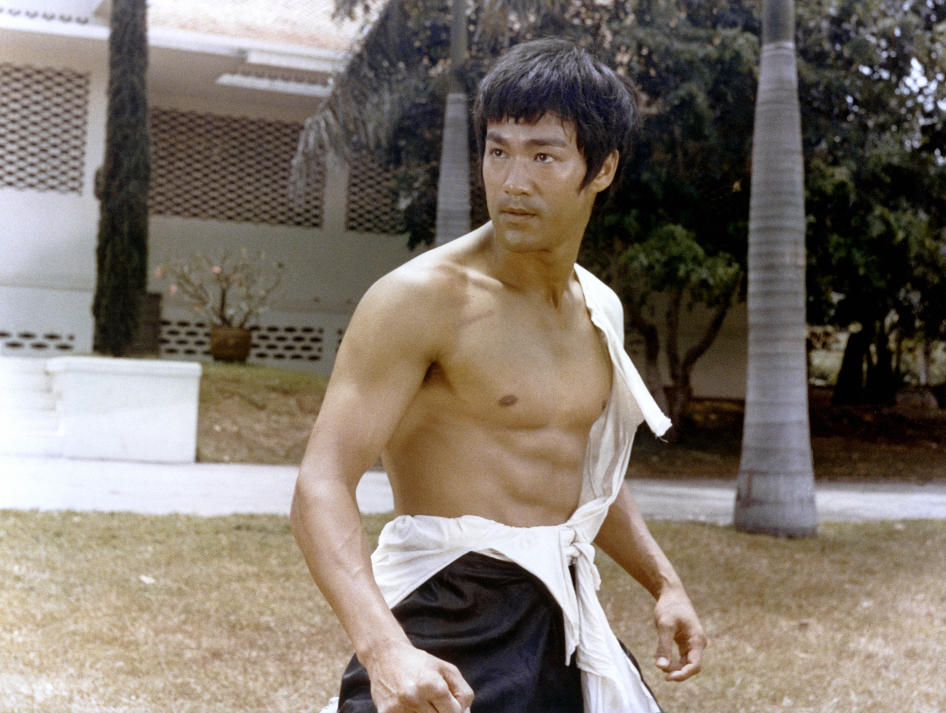 Bruce Lee Un Viaje De Guerreros