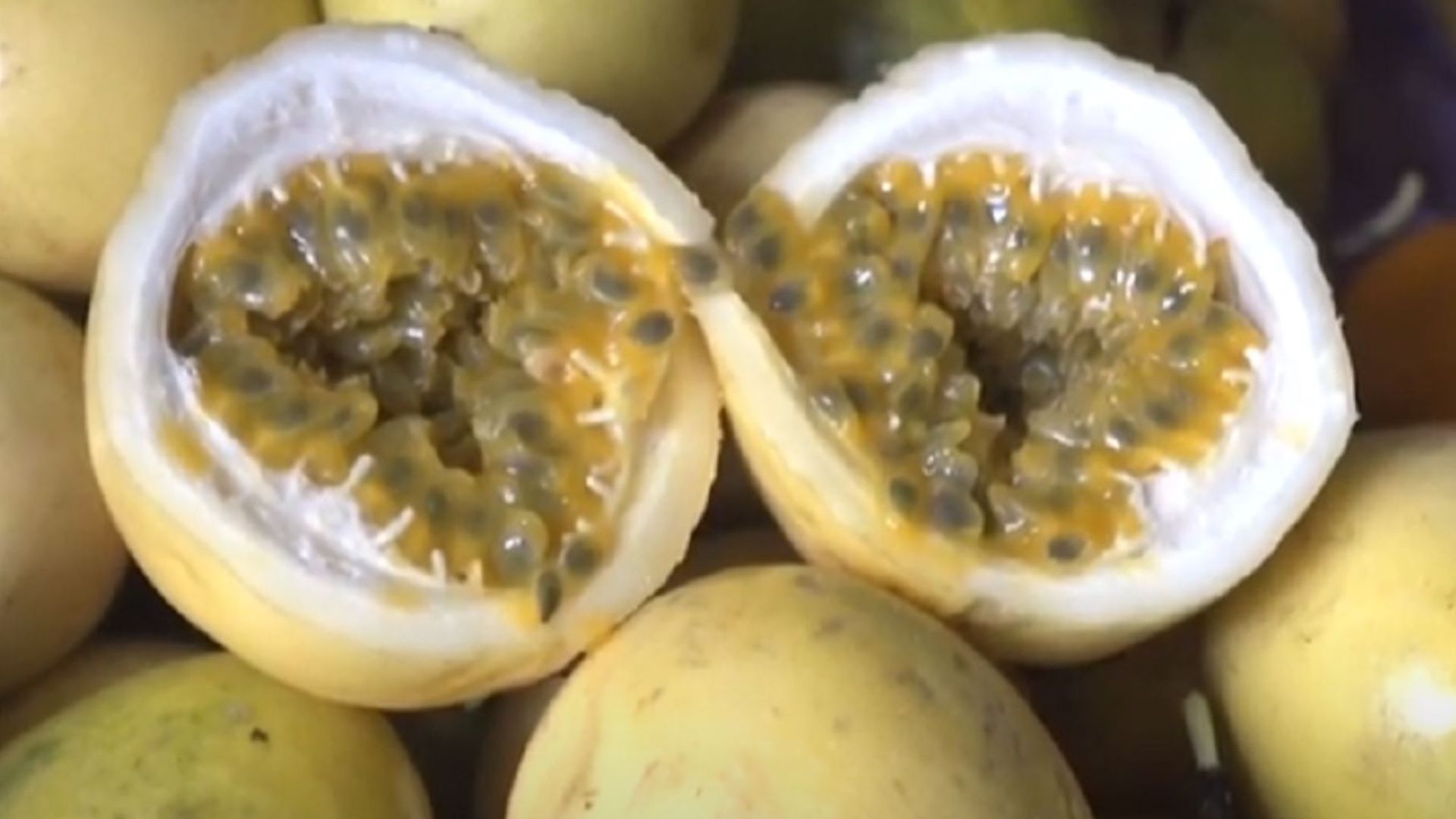 Fruta Hesperidio