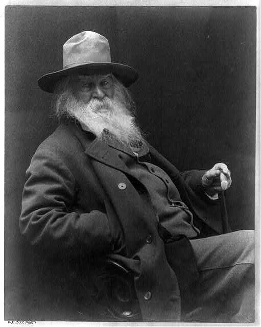 Walt Whitman En Washington El Poeta Que Aliviaba A Los Heridos De La Guerra Civil Infobae