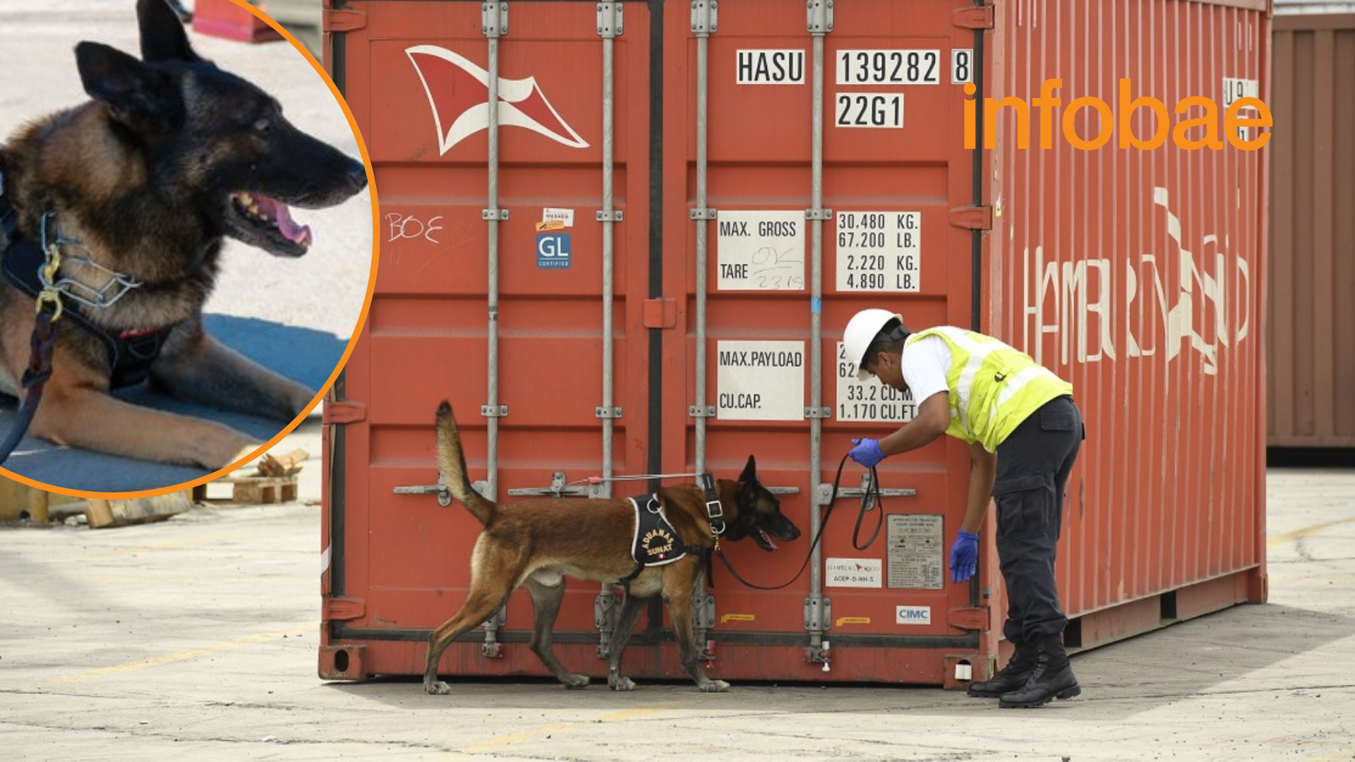 Caltrain Permite Perros