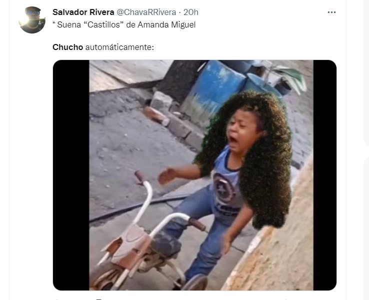 Los Memes Más Divertidos Que Dejó El Video Viral Del Pequeño Chucho