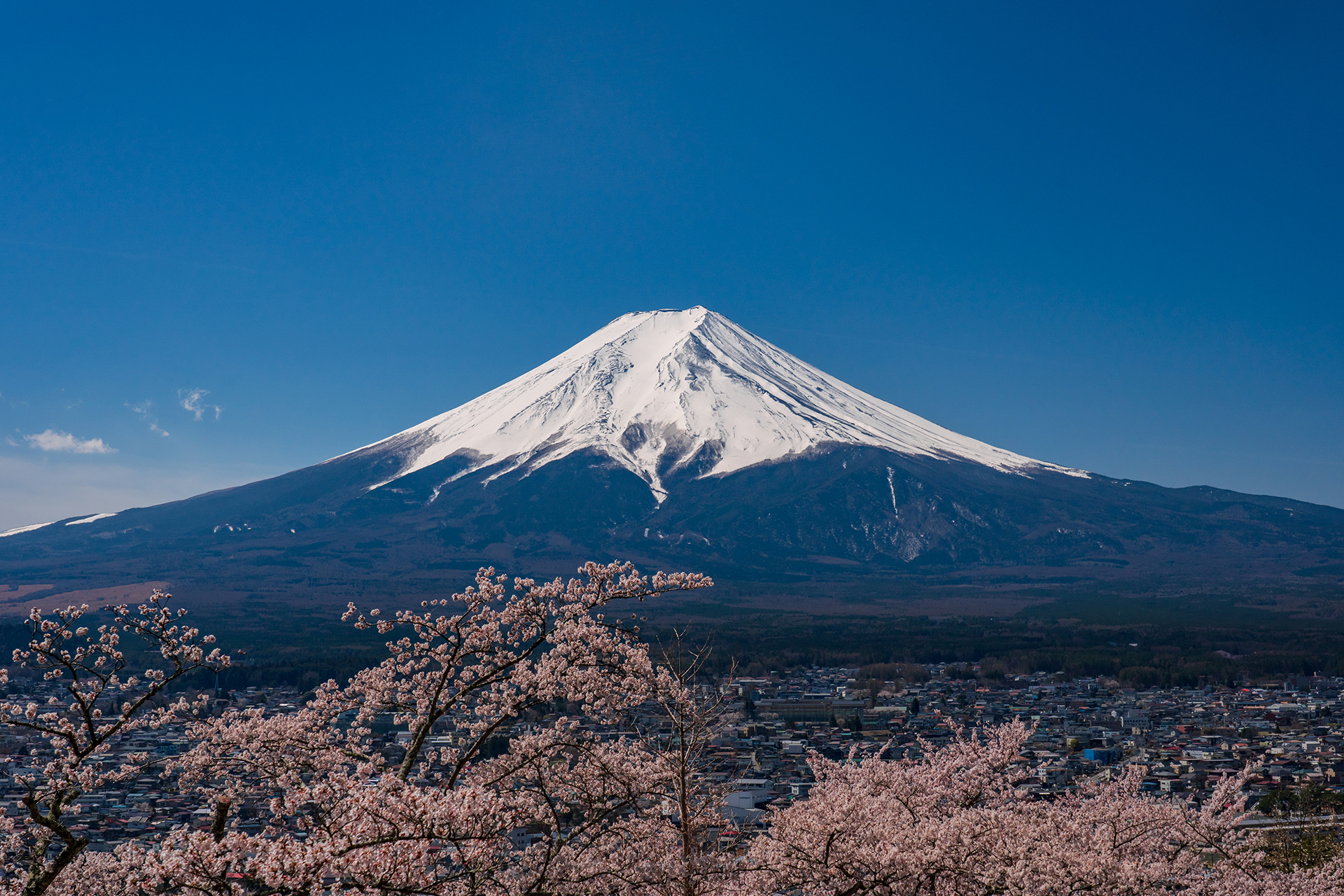 Erupción Del Monte Fuji 2024 Mt Fuji Eruption 2024 Japan | TikTok