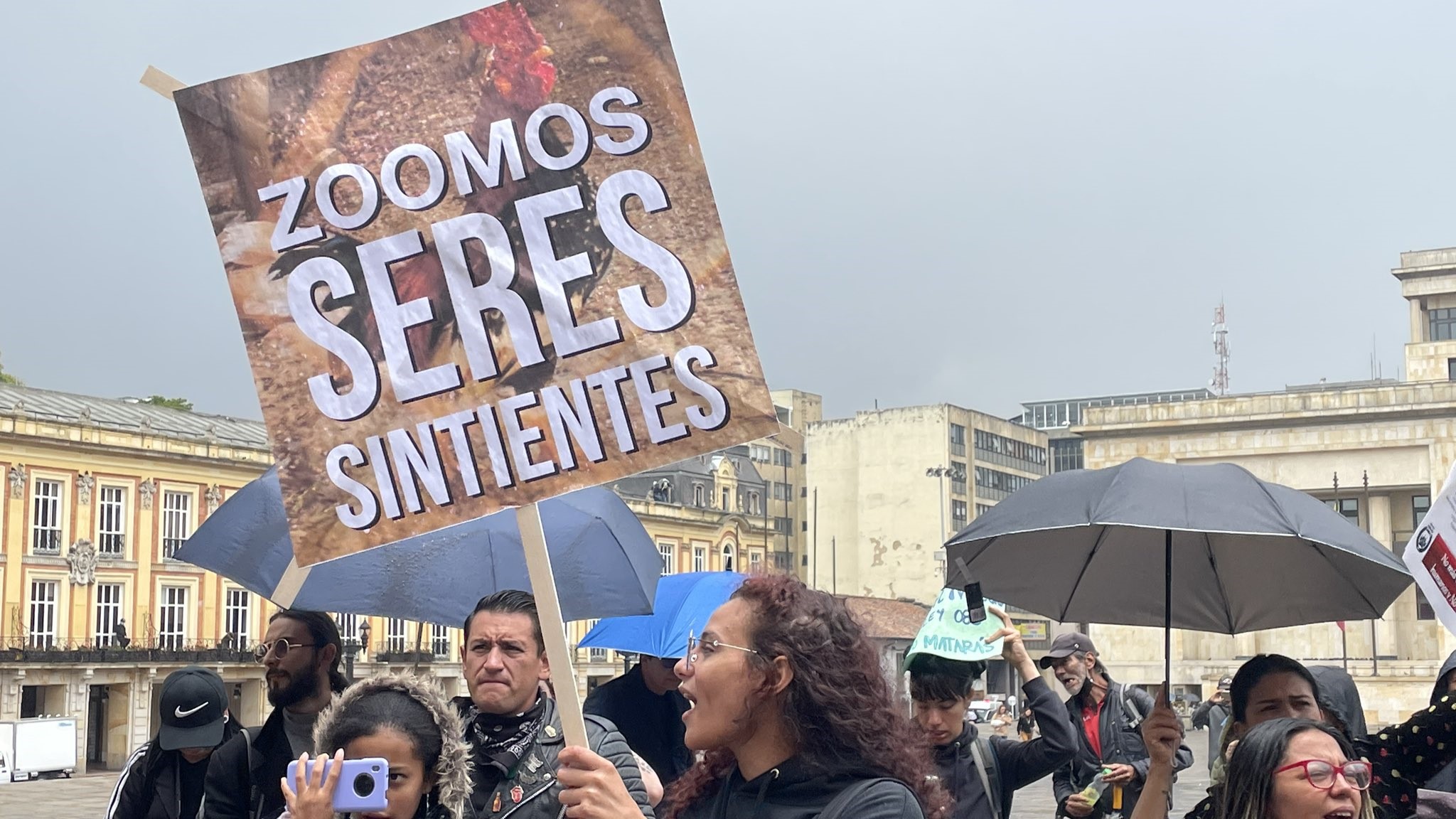 Ni El Plantón Fue Suficiente Se Aplazó Discusión Para Prohibir