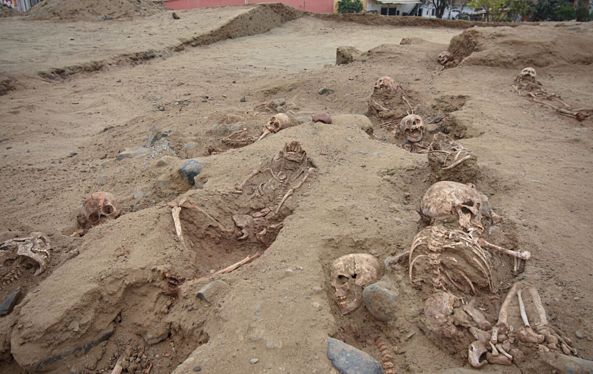 La Cultura Chimú Y Los Sacrificios De Centenares De Vidas Para Aplacar La Ira” Del Fenómeno El