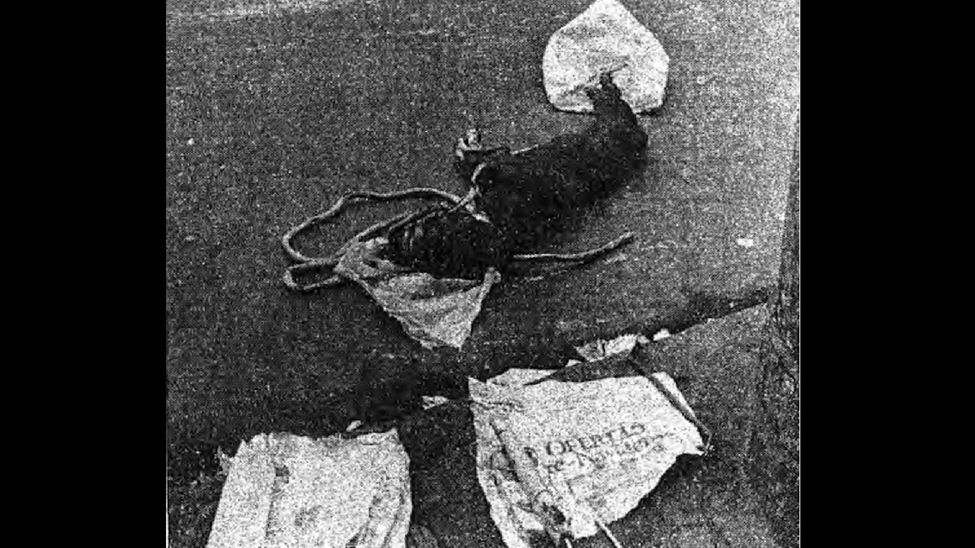 Los Perros De Deng Xiaoping El Día Que Sendero Luminoso Inundó Lima De