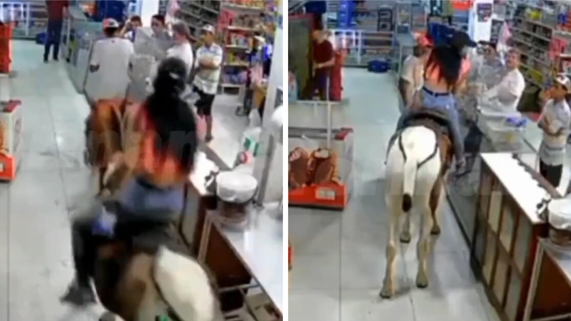 Fue Al Supermercado A Hacer Las Compras Y Entró Montada En Un Caballo 2684